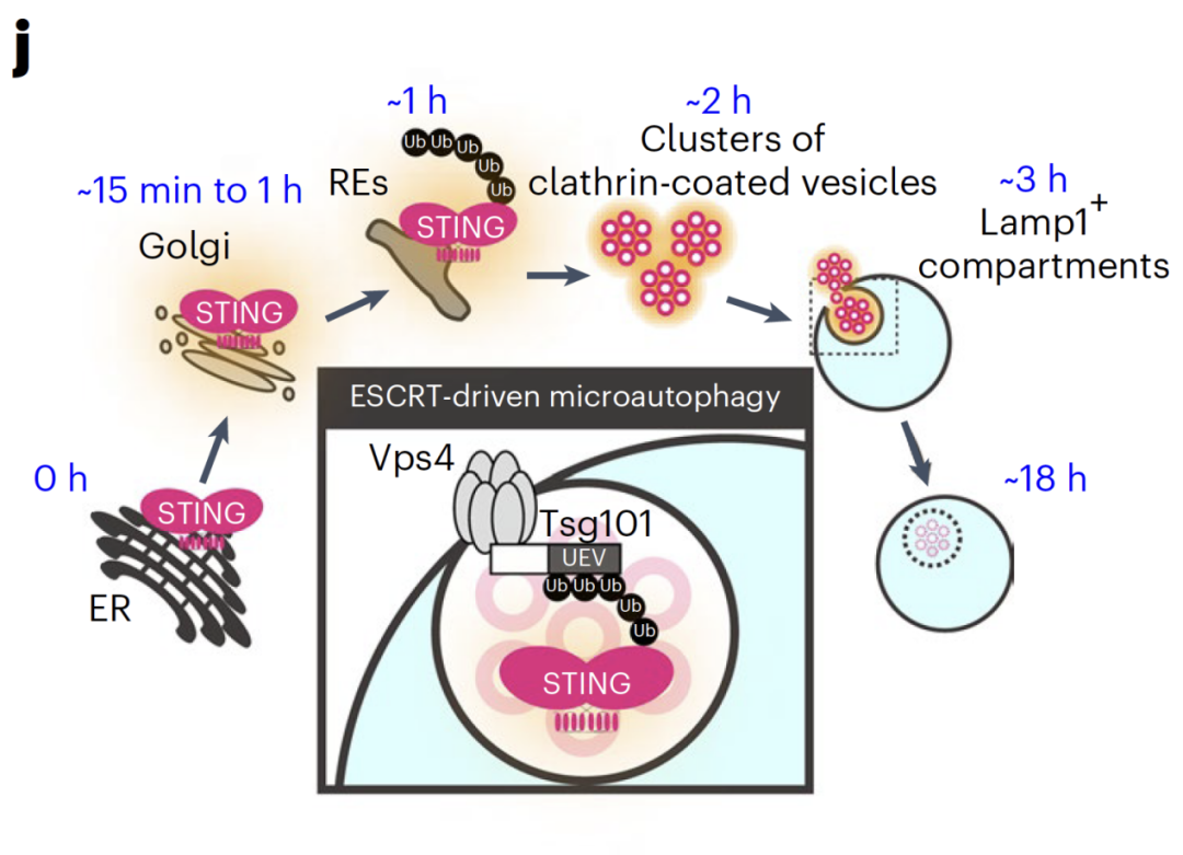 NSFC重大研究计划 —— 生物大分子动态修饰与化学干预