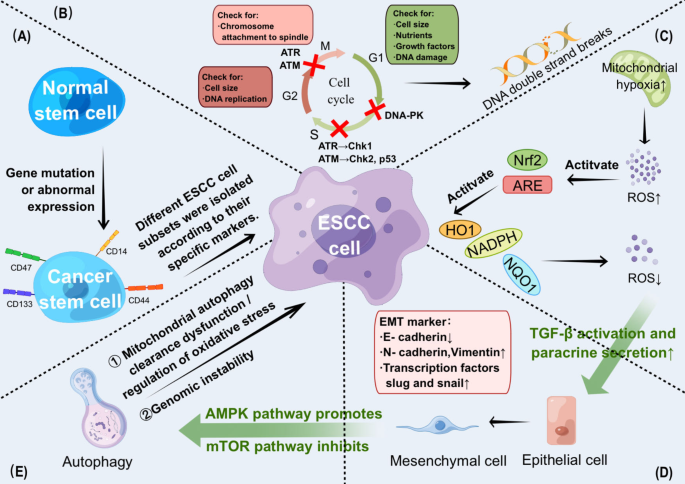 NSFC重大研究计划 —— 生物大分子动态修饰与化学干预